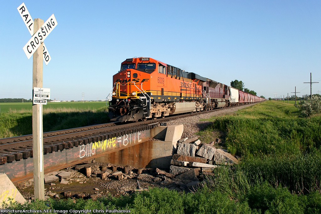 BNSF 6009 (M-DILGFD)
